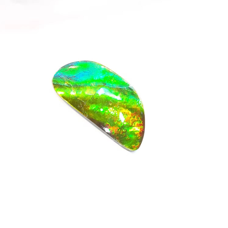 Freeform Ammolite CASBRFF003 – Ammolite Museum